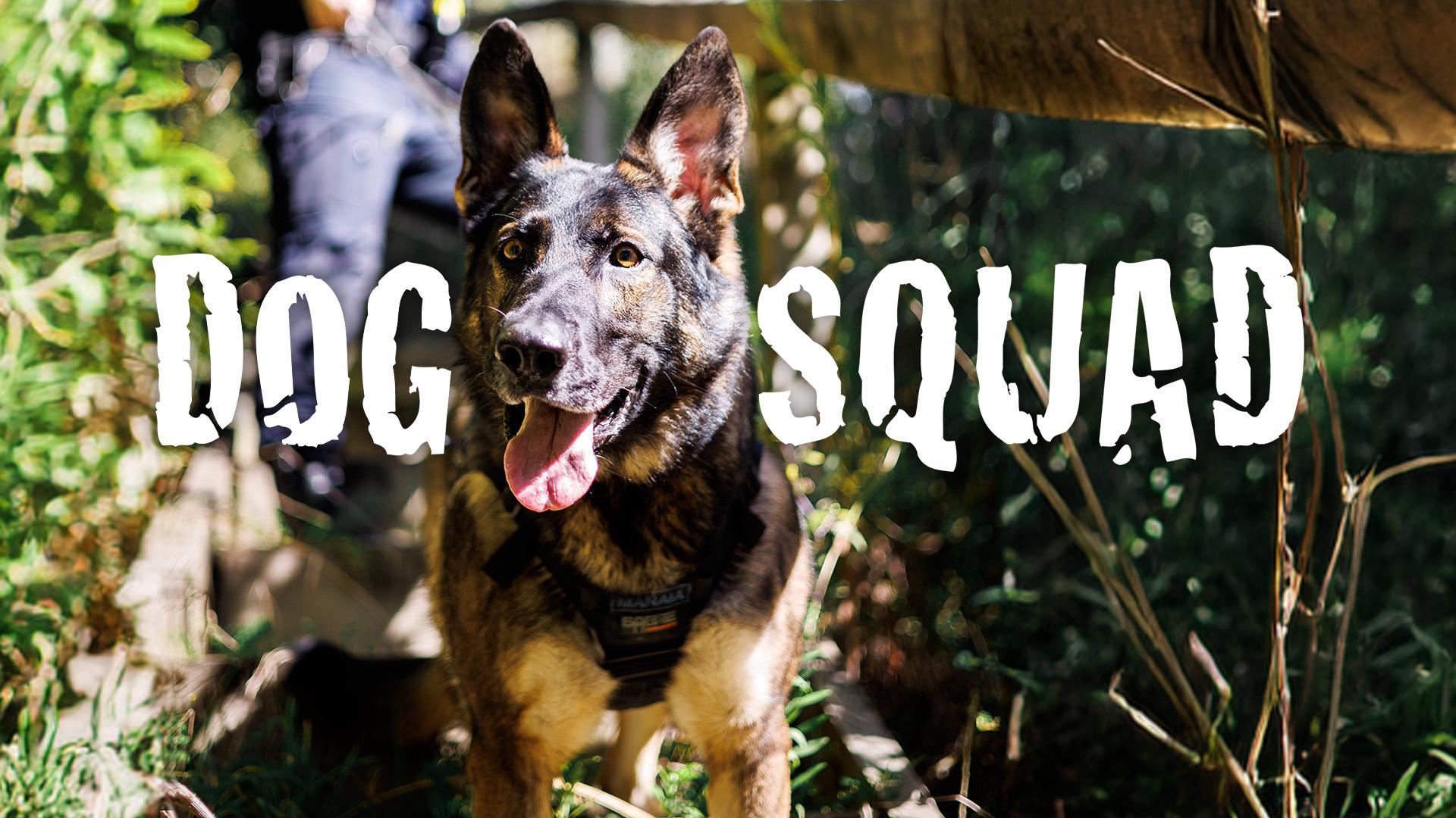 Dog Squad