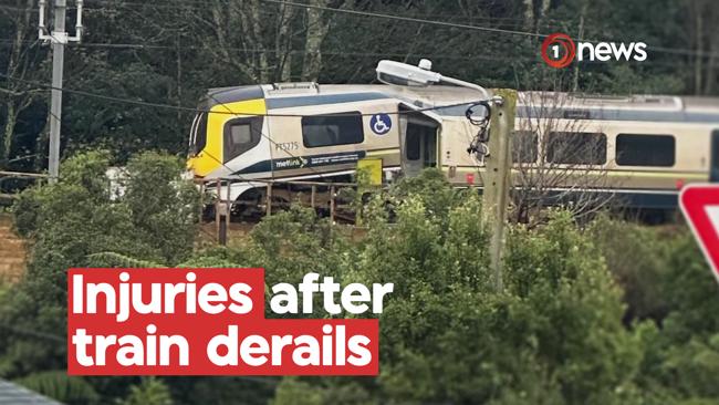 Investigation after Wellington train comes off rails, passengers ...
