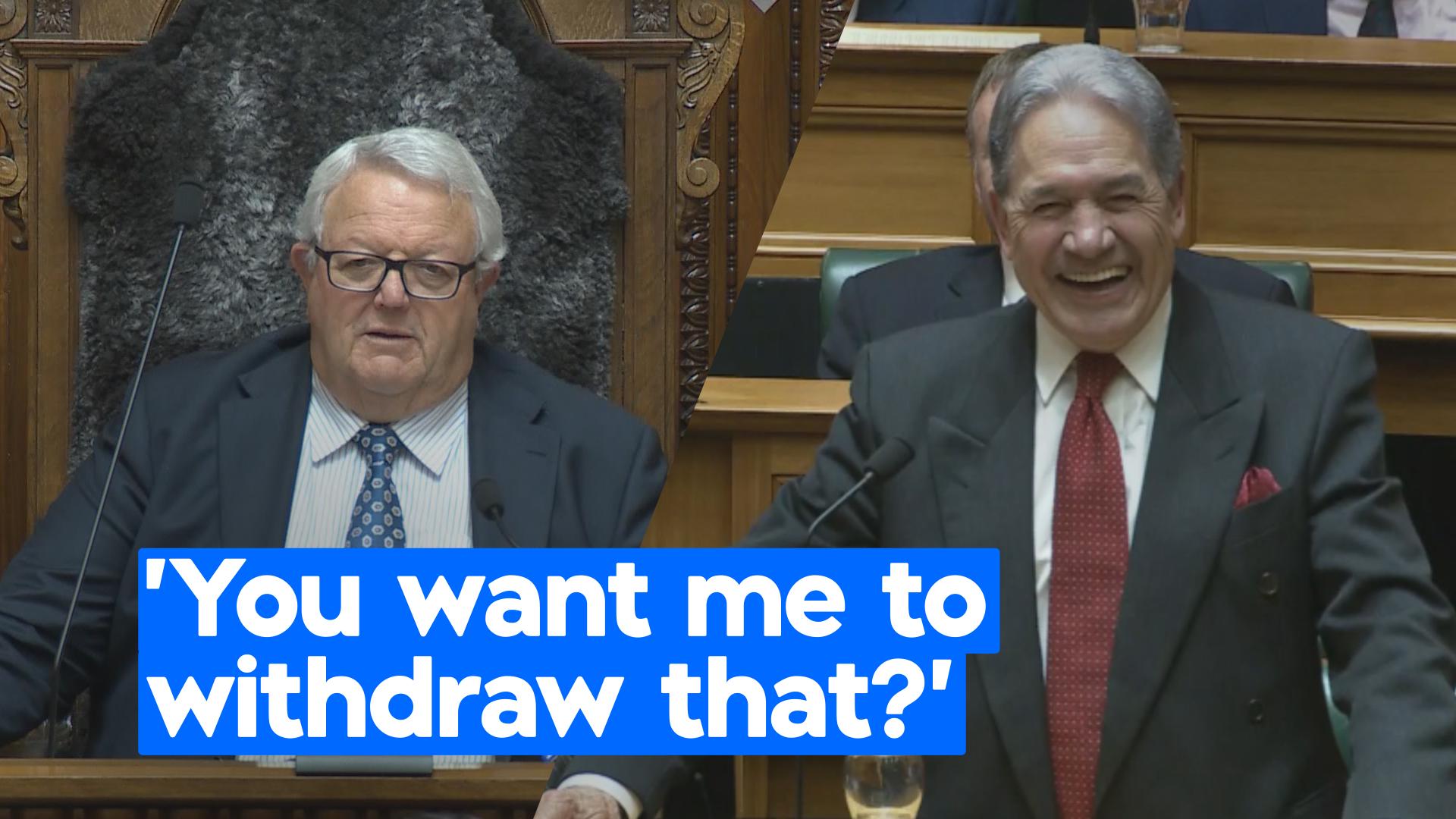 'What we don't need': Winton Peters in trouble over Green Party jab